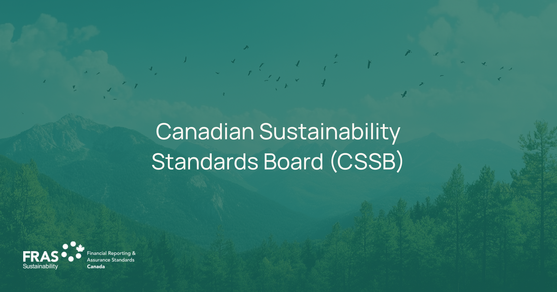 Erläuterung der Emissionen von Scope 1, 2 und 3 anhand von Beispielen: Leitfaden 2025